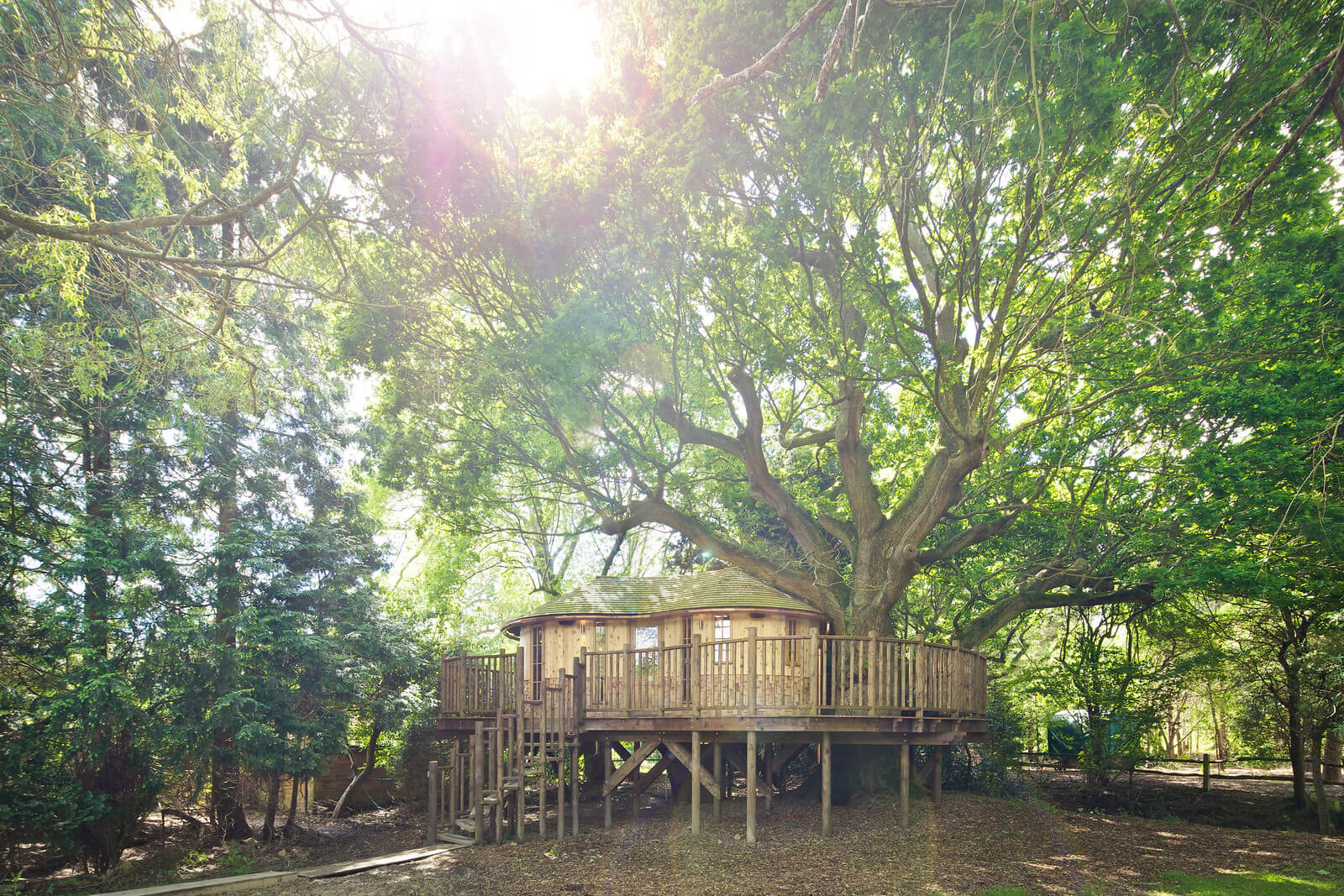 Whimsical Little Acorn Tree House Design by Blue Forest – Home Stratosphere