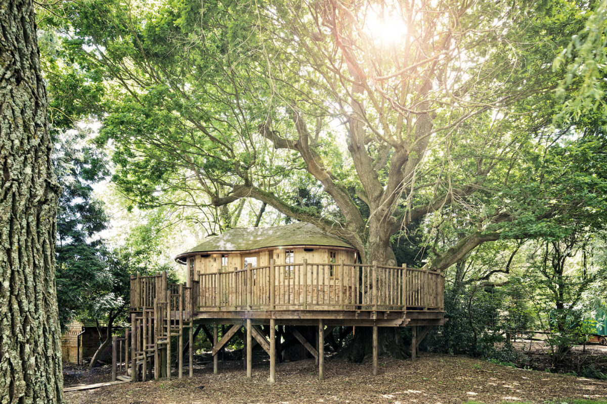 Whimsical Little Acorn Tree House Design by Blue Forest – Home Stratosphere