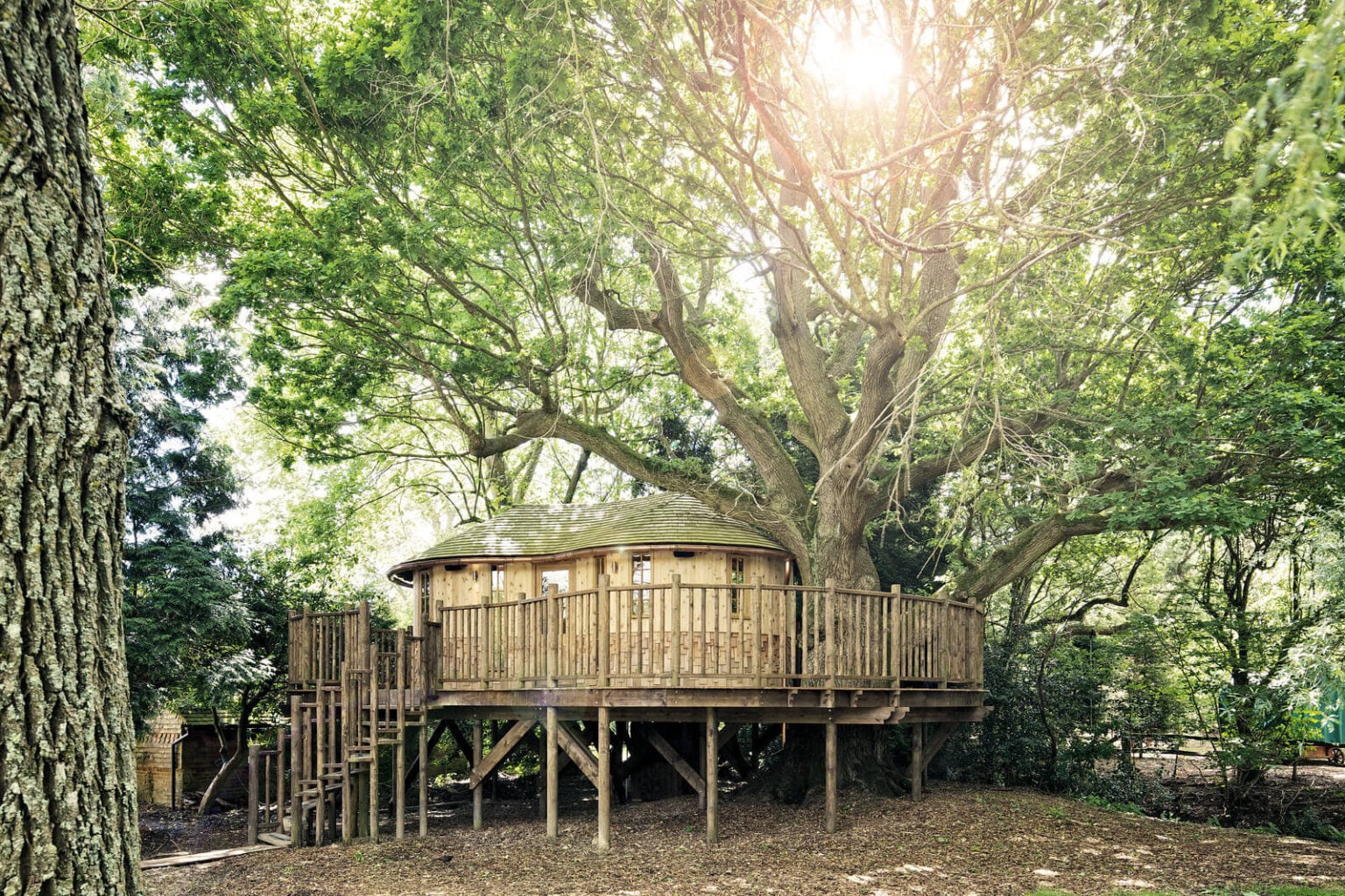 Whimsical Little Acorn Tree House Design by Blue Forest – Home Stratosphere