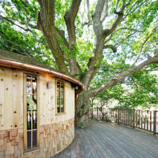 Whimsical Little Acorn Tree House Design by Blue Forest – Home Stratosphere