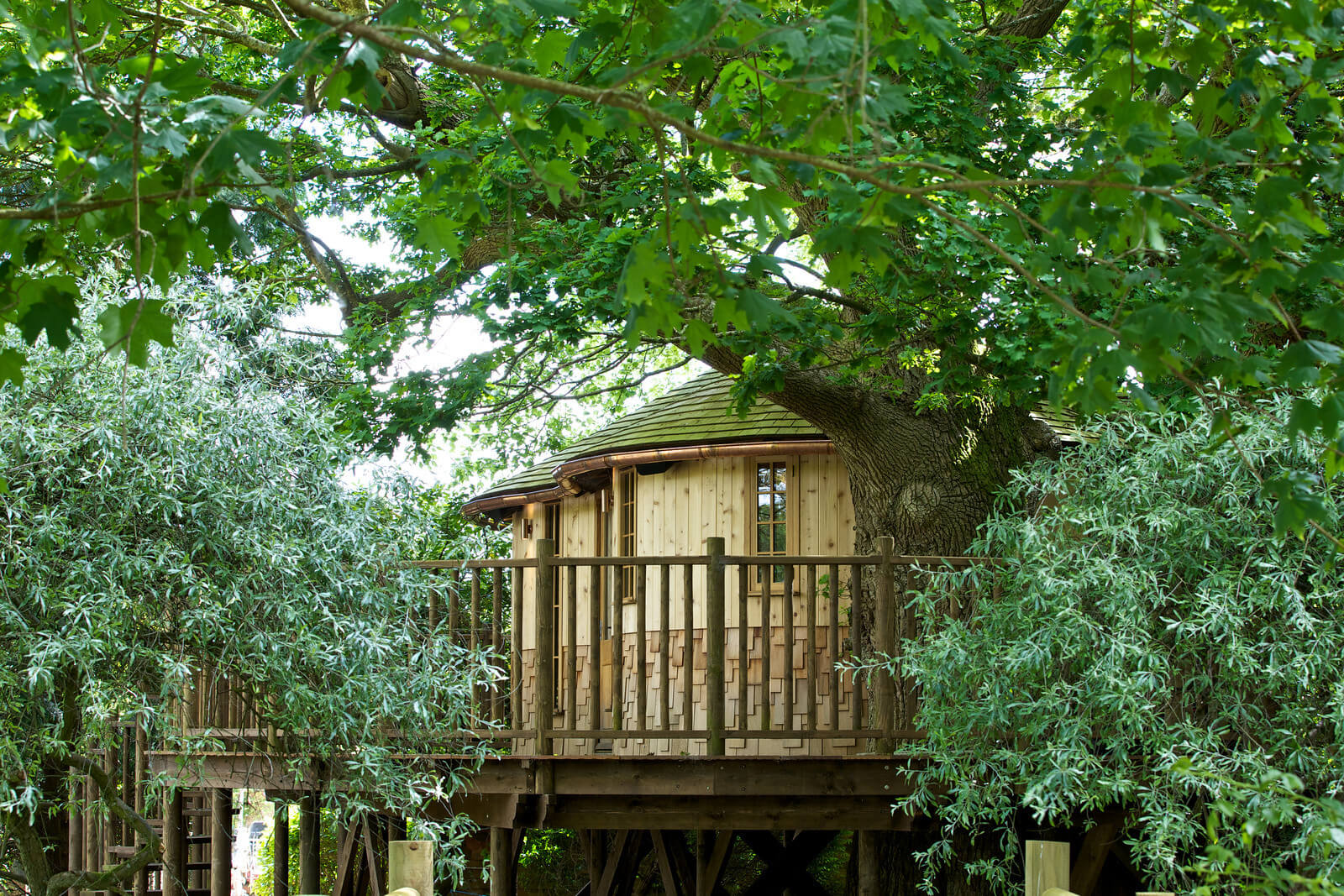Whimsical Little Acorn Tree House Design by Blue Forest – Home Stratosphere