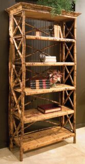 17 Types of Bookcases (Ultimate Buyers Guide) - Home Stratosphere
