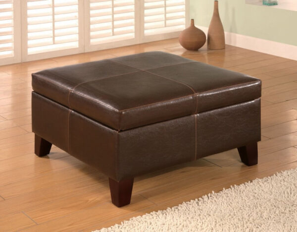 22 Ottoman Types to Elevate Your Home (Ultimate 2023 Guide) – Home ...