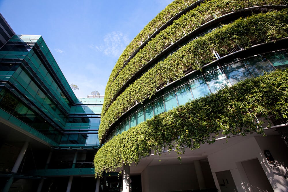20 Amazing Buildings with Green Roof Designs – Home Stratosphere