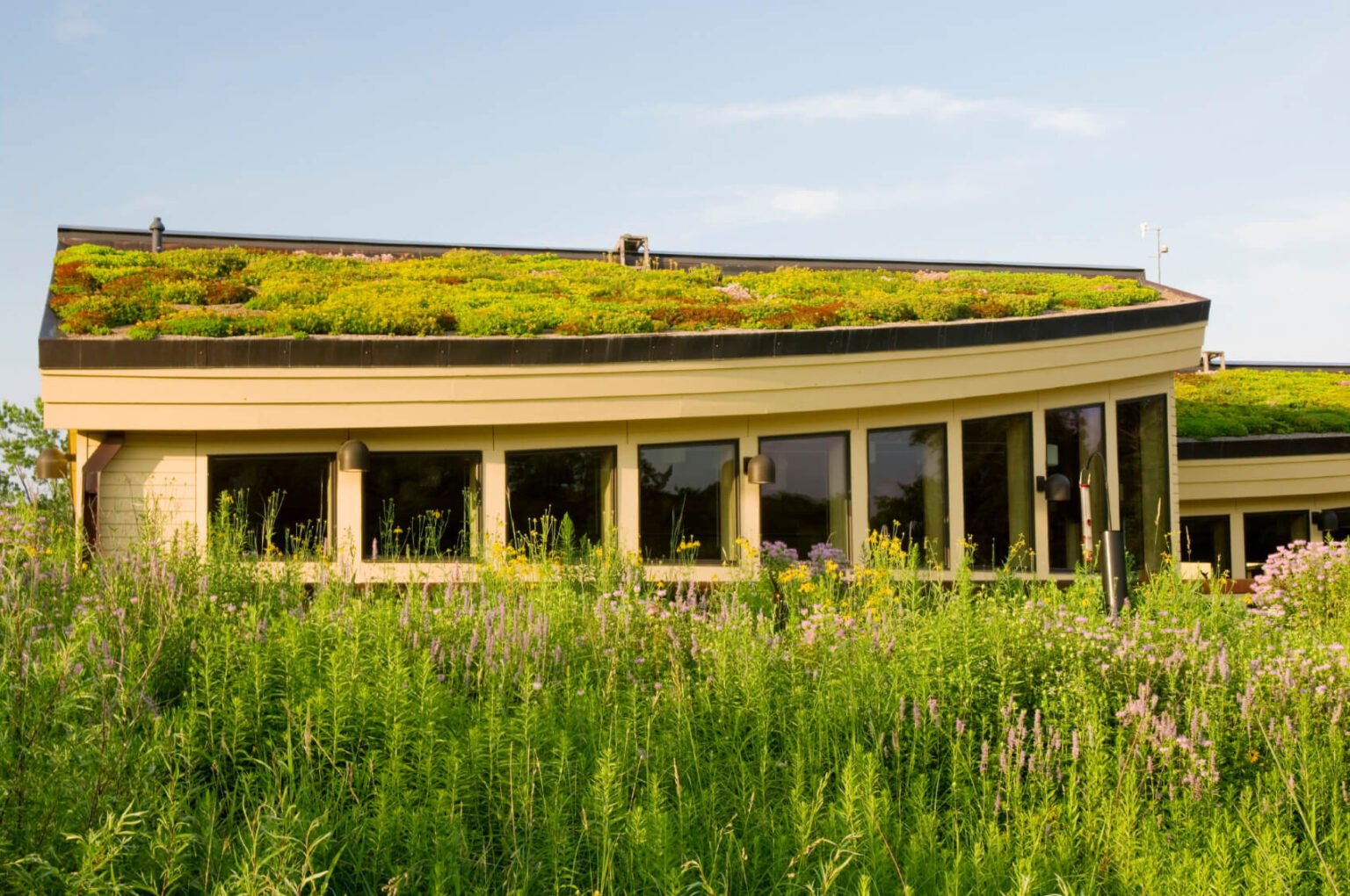 25 Amazing Buildings with Green Roof Designs (PICTURES)