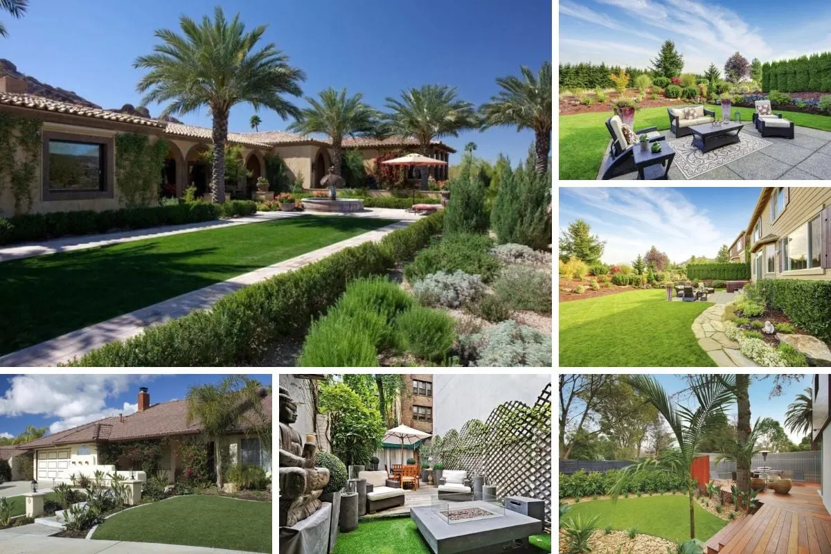 Amazing Backyard Ideas