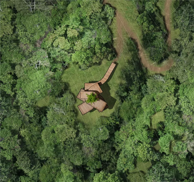 Terrific Tree House Design by Bengo Studio - Home Stratosphere