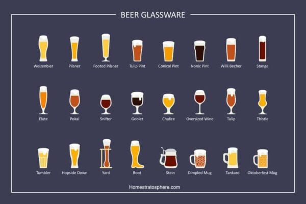 24 Types of Beer Glasses (Detailed Chart and Descriptions)