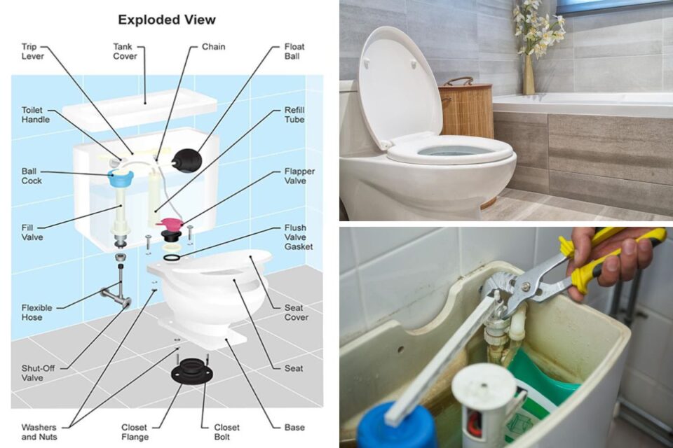 The Many Parts of a Toilet (3 Diagrams: Tank, Toilet & Plumbing)
