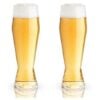 24 Types of Beer Glasses (Detailed Chart and Descriptions)