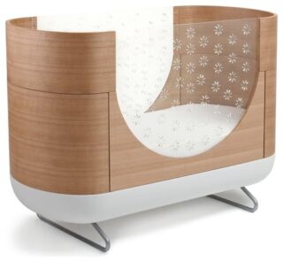 39 Types of Cribs for Your Baby (Guide)