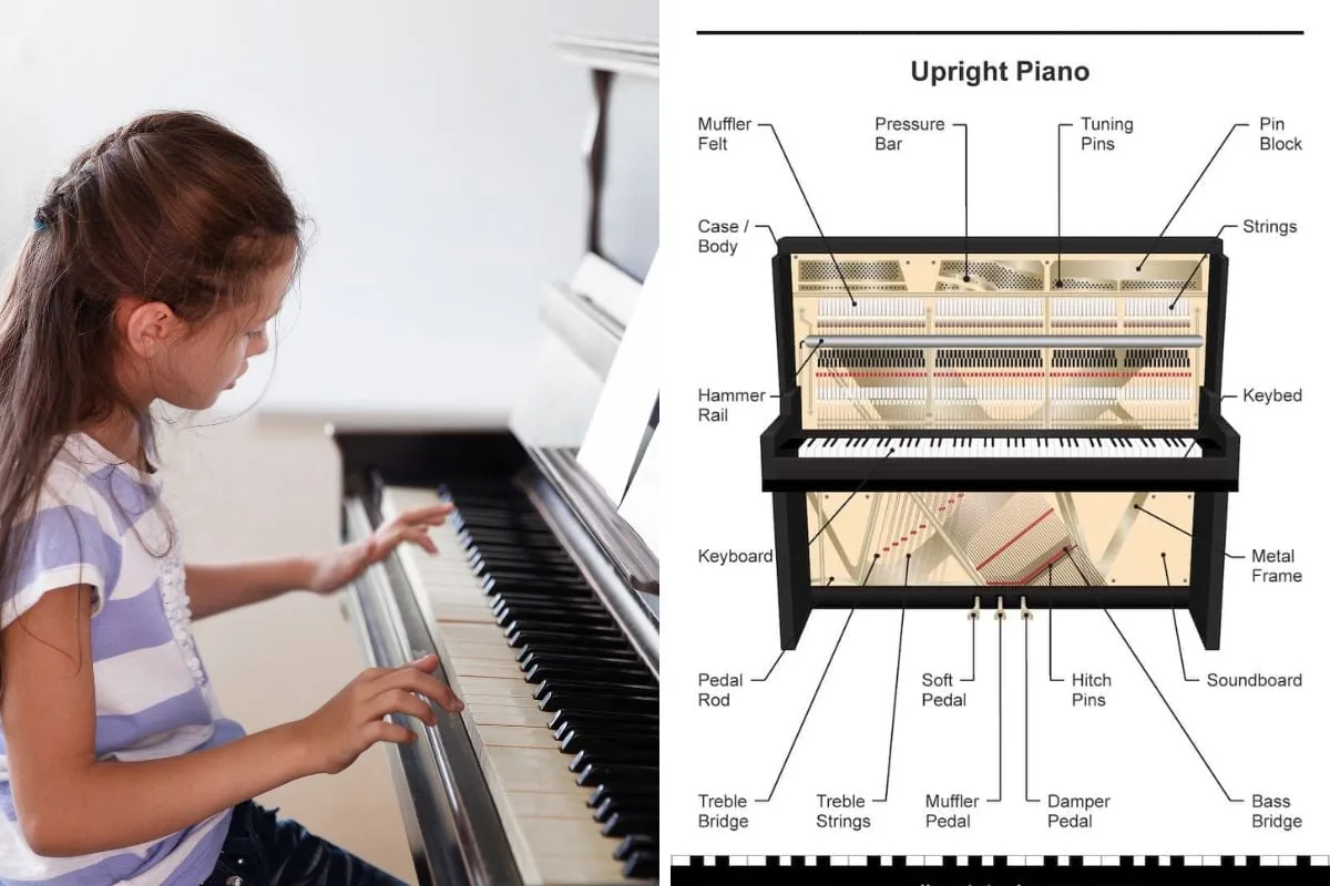 Grand Piano Keys Layout