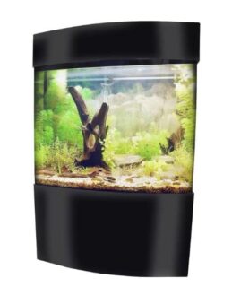 22 Different Types of Fish Tanks (Buying Guide)
