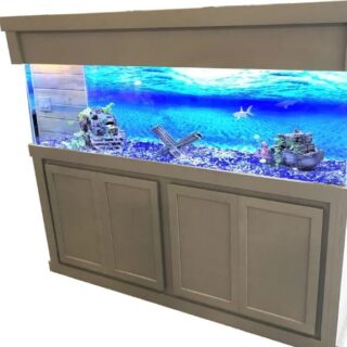 22 Different Types of Fish Tanks (Buying Guide) – Home Stratosphere