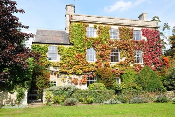 31 Examples of Ivy-Covered Houses