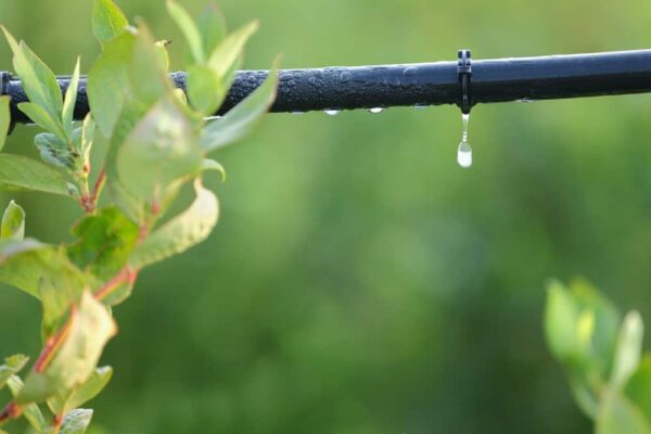 4 Affordable Alternatives to Underground Sprinkler System – Home ...