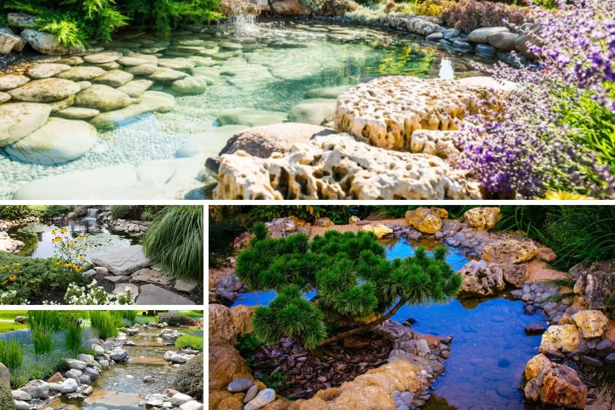 Beautiful Natural Ponds