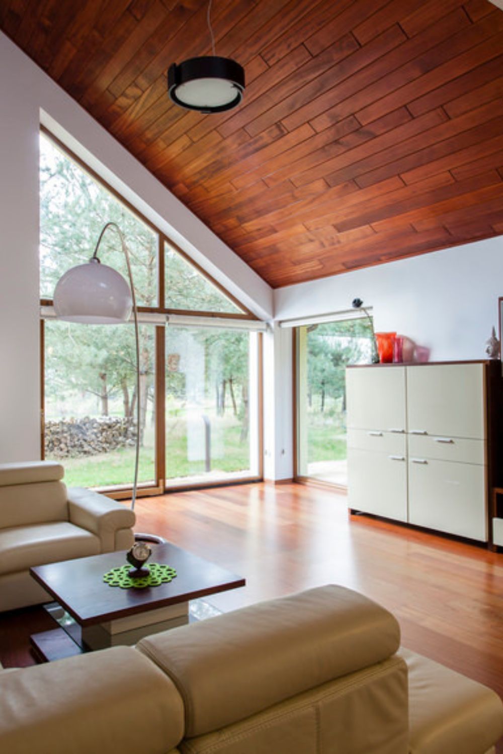 23 Shed Ceiling Design Ideas Showcase Stylish Slopes