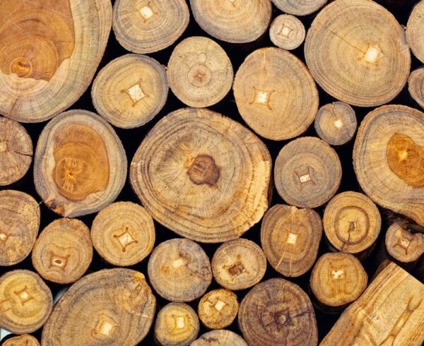 10 Different Types of Teak Wood – Home Stratosphere