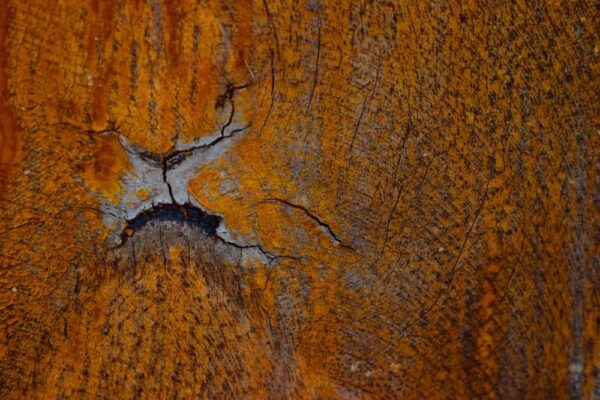 3 Types of Tigerwood – Home Stratosphere