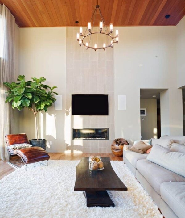 60 Living Rooms with a TV (Pictures)