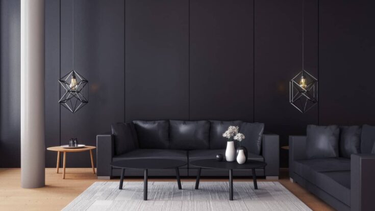 60 Black Interior Design Ideas (Black Room Designs)