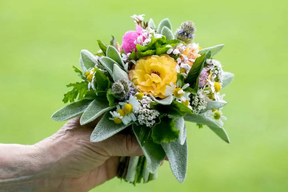 Pageant Bouquets Floral