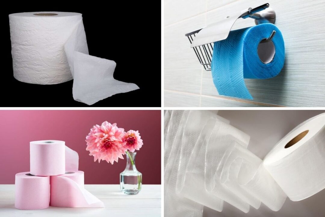 8 Different Types of Toilet Paper