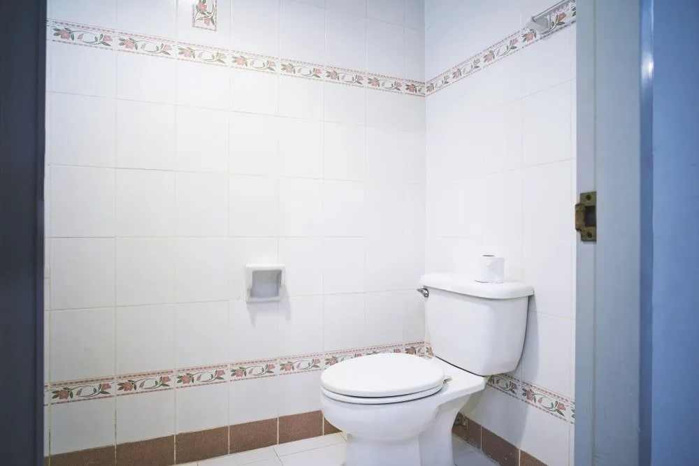 Toilet Cost: How Much Does It Cost To Install A Toilet?