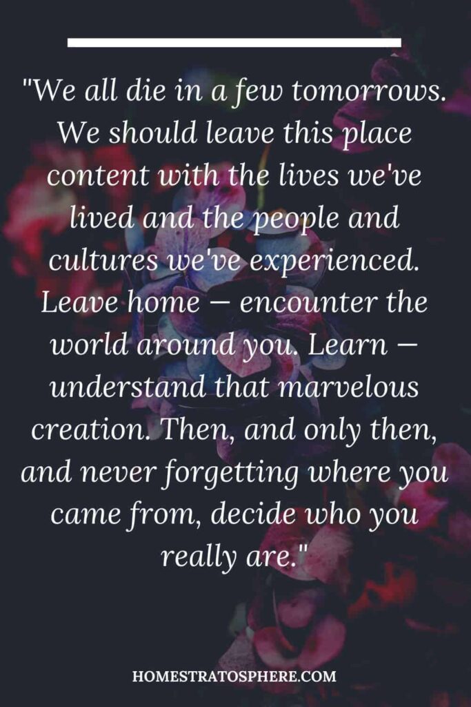 40 Heartfelt “Leaving Home” Quotes and Sayings – Home Stratosphere