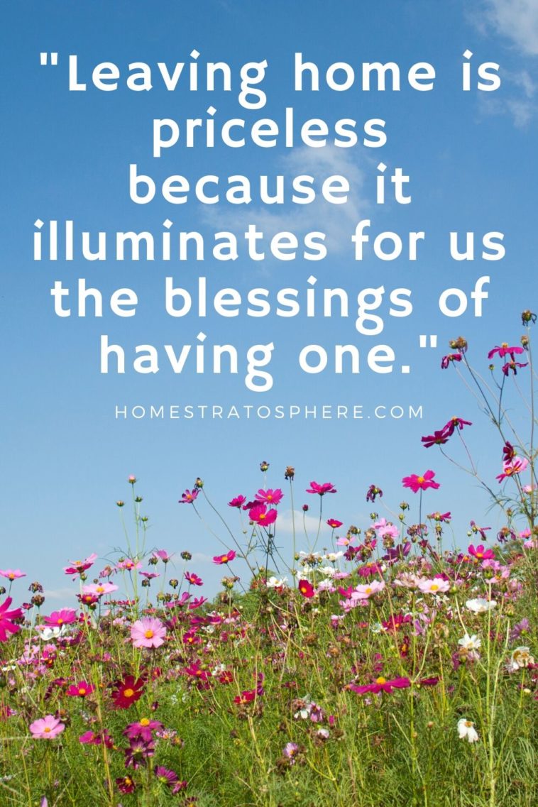 40 Heartfelt "Leaving Home" Quotes and Sayings