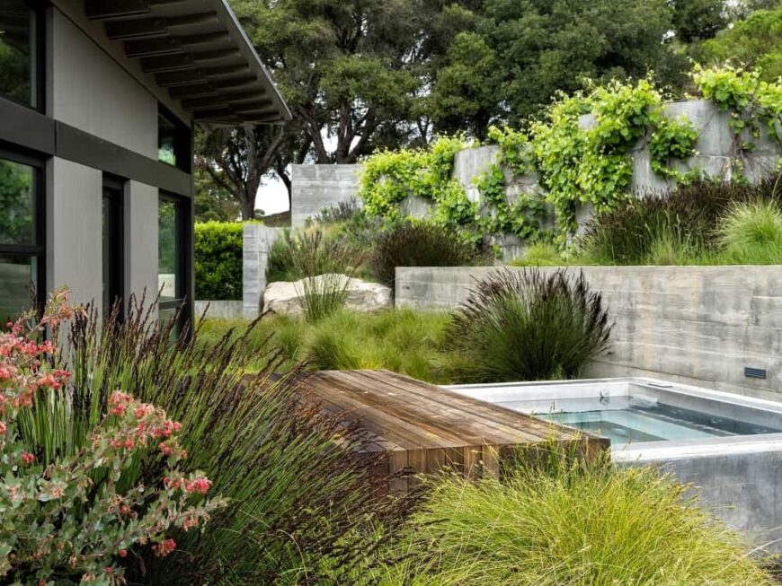 Butterfly House by Feldman Architecture – Home Stratosphere
