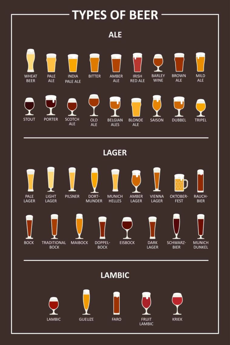 50 Different Types Of Beer 50 Different Types Of Beer