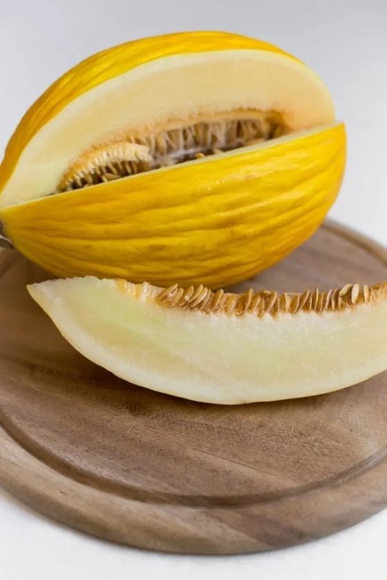 30 olika typer av meloner - känner du dem alla | Aranjuez