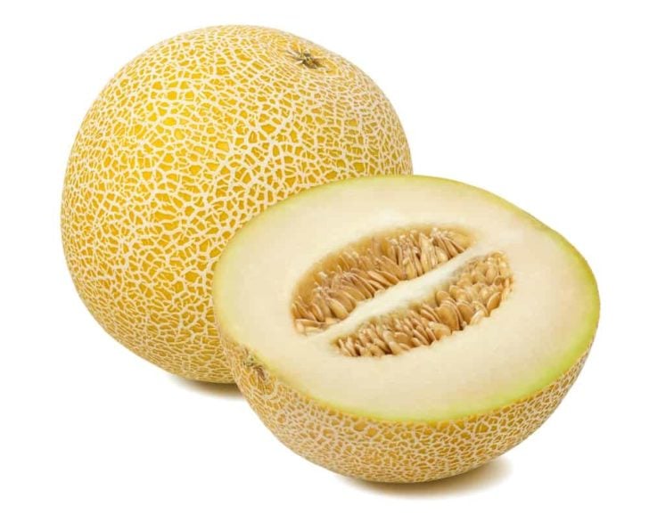 30 olika typer av meloner - känner du dem alla | Aranjuez