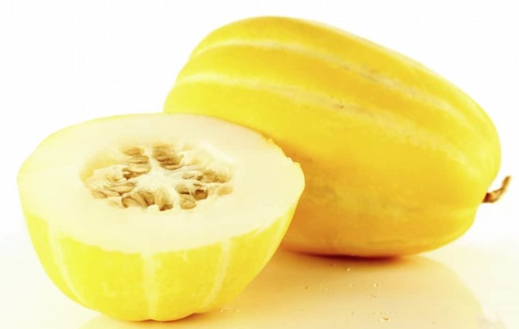 30 tipos diferentes de melones: ¿los conoce todos? | Aranjuez