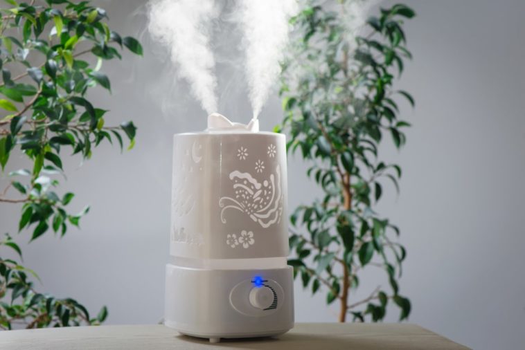 12 Different Types of Air Fresheners for Homes