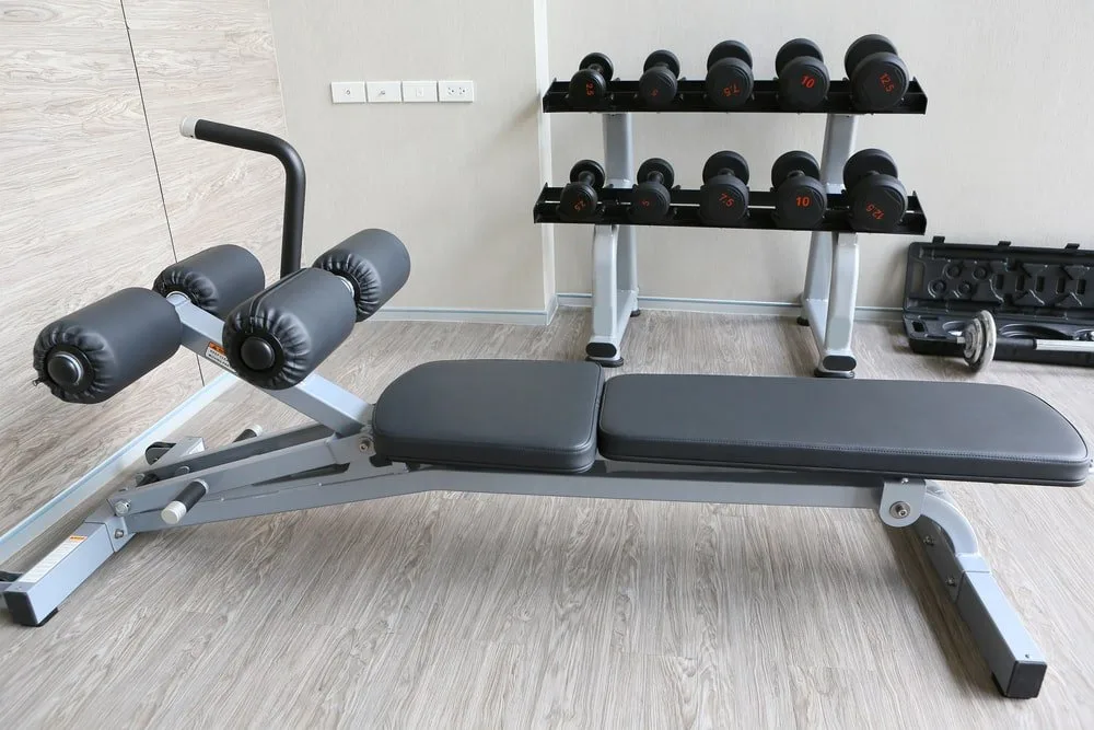 Types Of Workout Machines | EOUA Blog