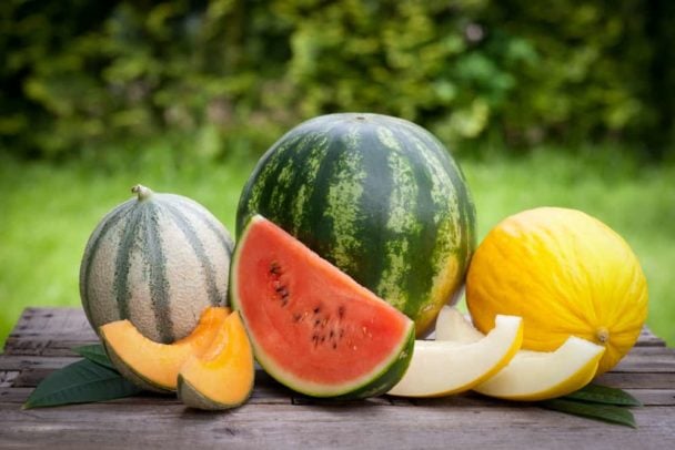 30 tipos diferentes de melones: ¿los conoce todos? | Aranjuez