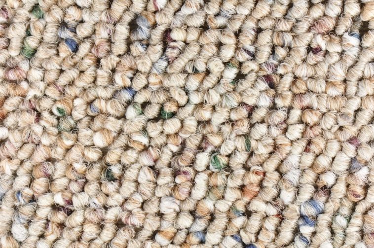 Loop vs. Cut Pile Carpet (Differences and Similarities)