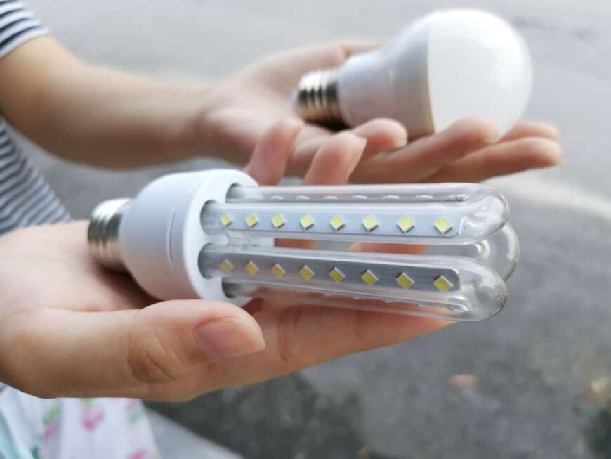 What is a Corn Bulb (It May Not Be What You Think!)