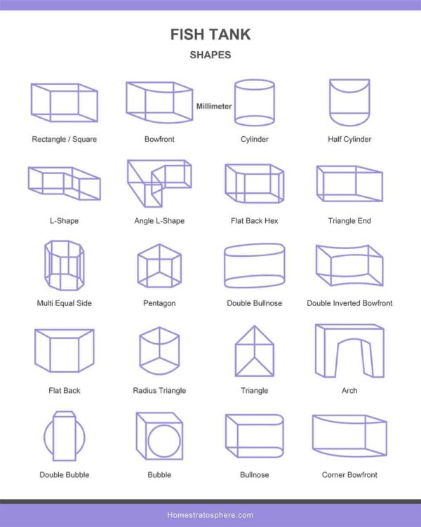 Fish Tank Sizes (Charts & Tables) – Home Stratosphere