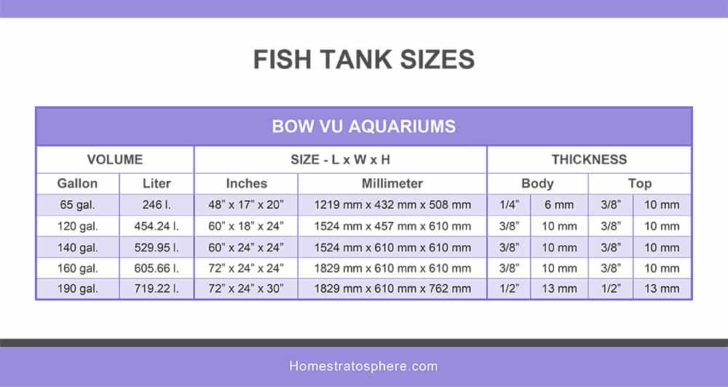 Fish Tank Sizes (Charts & Tables)