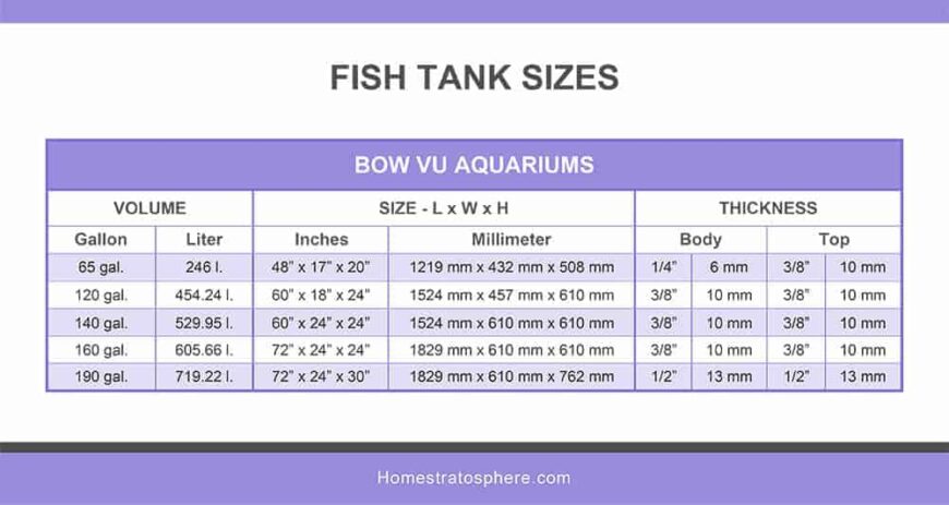 Fish Tank Sizes (Charts & Tables) – Home Stratosphere