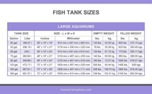 Fish Tank Sizes (Charts & Tables) – Home Stratosphere