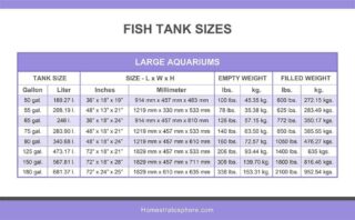Fish Tank Sizes (Charts & Tables) – Home Stratosphere