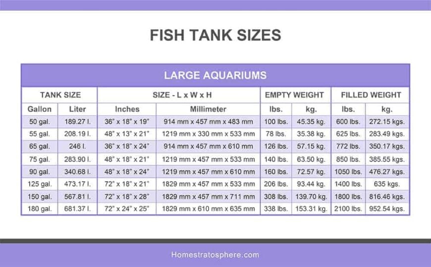 Fish Tank Sizes (Charts & Tables) – Home Stratosphere