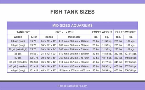 Fish Tank Sizes (Charts & Tables) - Home Stratosphere
