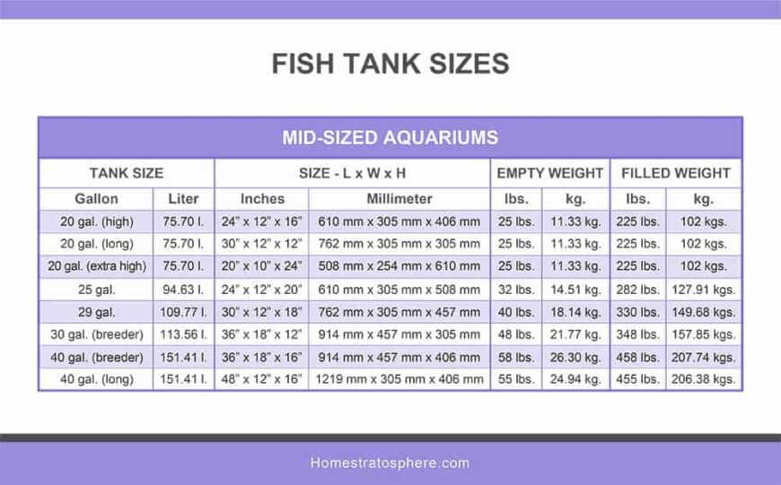 Fish Tank Sizes (Charts & Tables) – Home Stratosphere