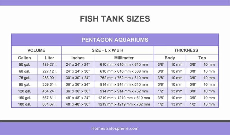 Fish Tank Sizes (Charts & Tables) – Home Stratosphere